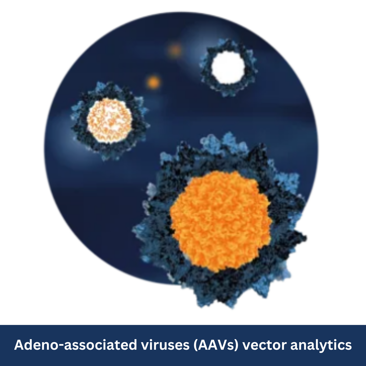 Refeyn - Systems for Research